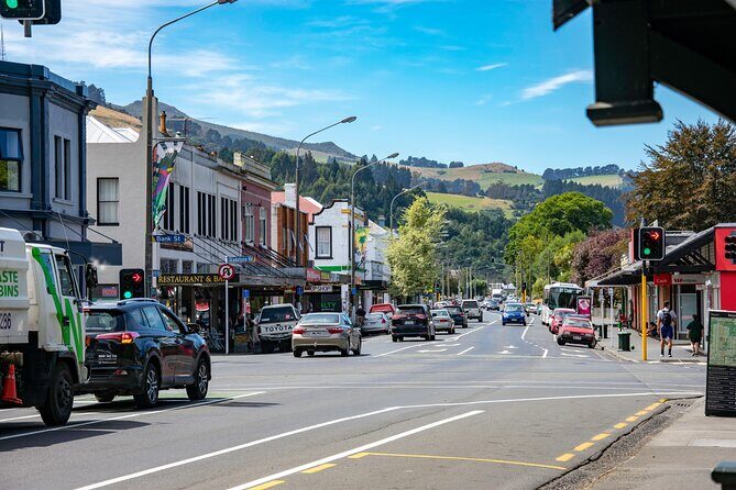 Explore Dunedin: Self-Guided Audio Tour Adventure - Key Points