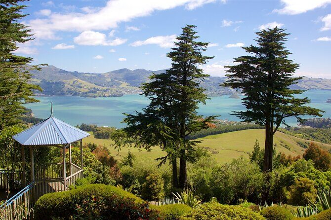 Explore Dunedin: Self-Guided Audio Tour Adventure - Who Is This Tour Best For?