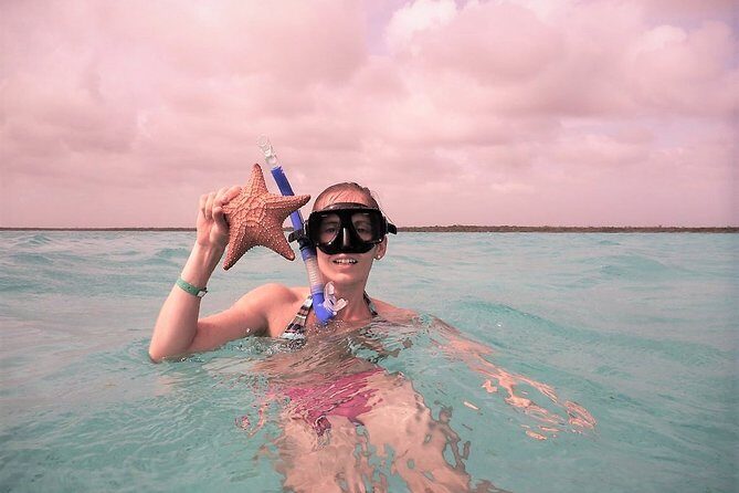 Explore El Cielo in Cozumel. Snorkel in 3 different reefs & visit Cielito Beach. - The Itinerary in Detail