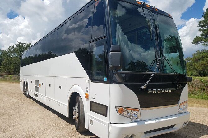 Explore Fernie round trip from Calgary by Private Transportation - Is This Transfer Right for You?