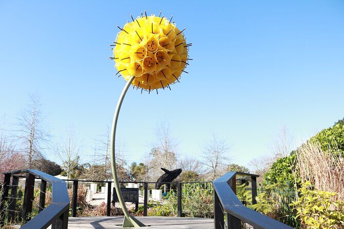 Explore gardens & galleries filled with incredible art, Matakana - The Sum Up