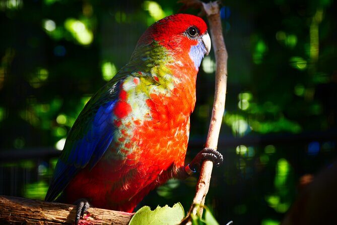 Explore gardens & galleries filled with incredible art, Matakana - FAQ