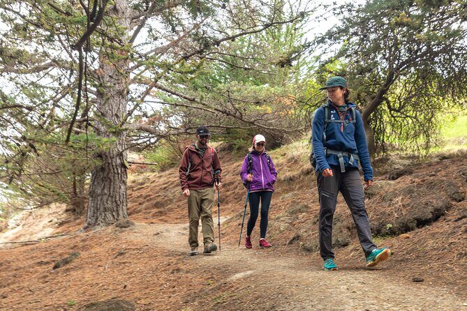 Explore Godley Head, Lyttelton & Christchurch (Small Group Tour) - The Sum Up