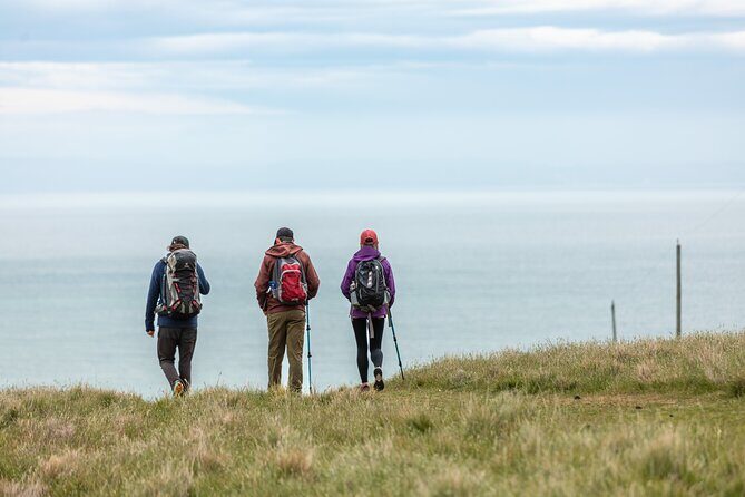Explore Godley Head, Lyttelton & Christchurch (Small Group Tour) - FAQ
