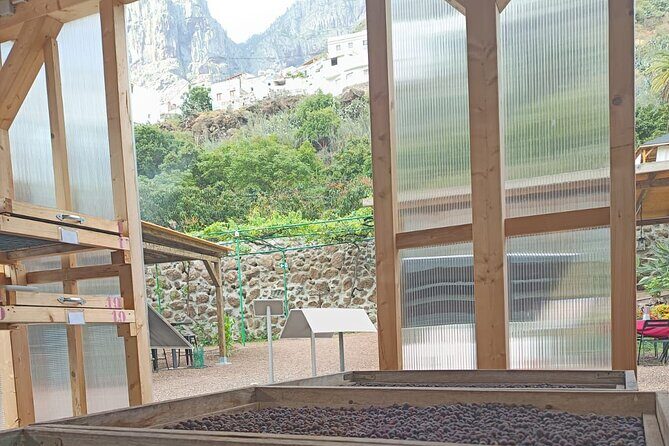 Explore Gran Canarias Coffee at Finca Los Castaños - Exploring Gran Canaria’s Coffee at Finca Los Castaños: A Detailed Review