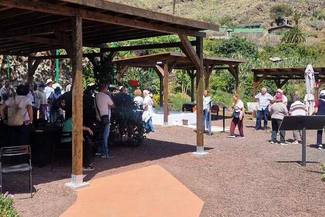 Explore Gran Canarias Coffee at Finca Los Castaños - What You Can Expect on the Tour