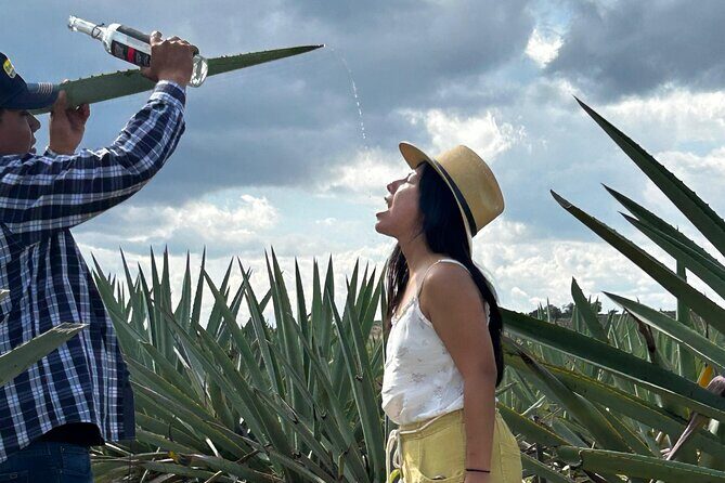 Explore Hierve el Agua, Mitla, Tule, Textile and Mezcal for a day - FAQ