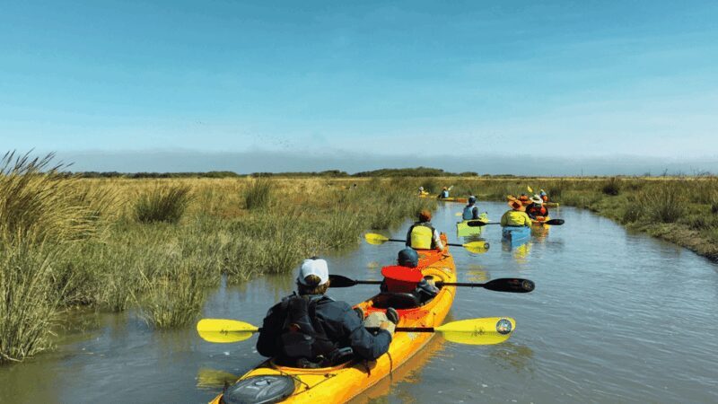 Explore Humboldt Bay by Kayak - Key Points