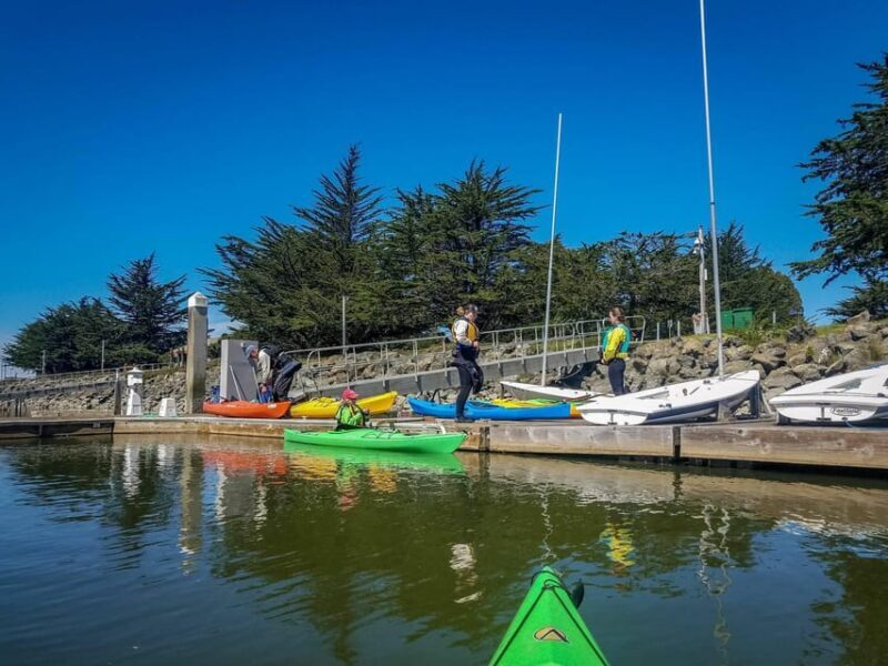 Explore Humboldt Bay by Kayak - Value and Practicalities
