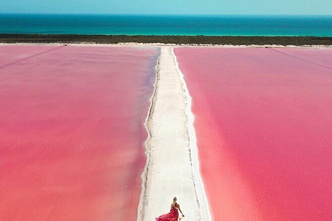 Explore Las Coloradas & Rio Lagartos from Riviera Maya - An In-Depth Look at the Tour Experience