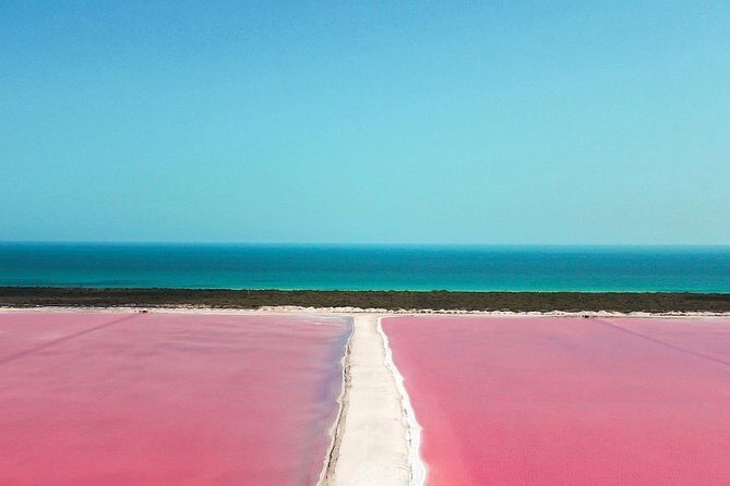Explore Las Coloradas & Rio Lagartos from Riviera Maya - FAQ