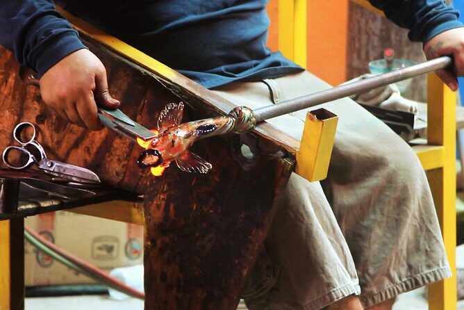 Explore Los Cabos City Tour, Glass-Bottom Boat Ride, Lunch and Shopping! - Who Will Love This Tour?