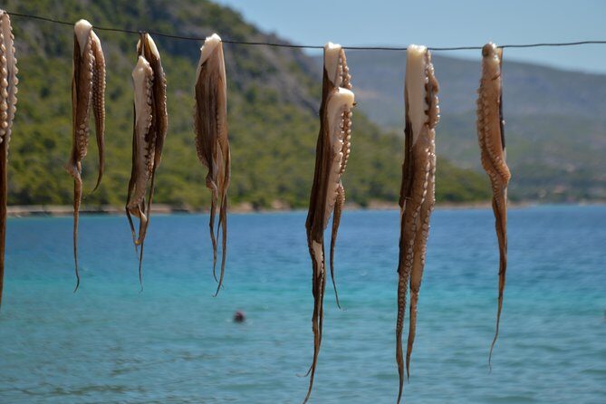 Explore Loutraki & Lake Vouliagmeni: Nature and Relaxation - Final Thoughts