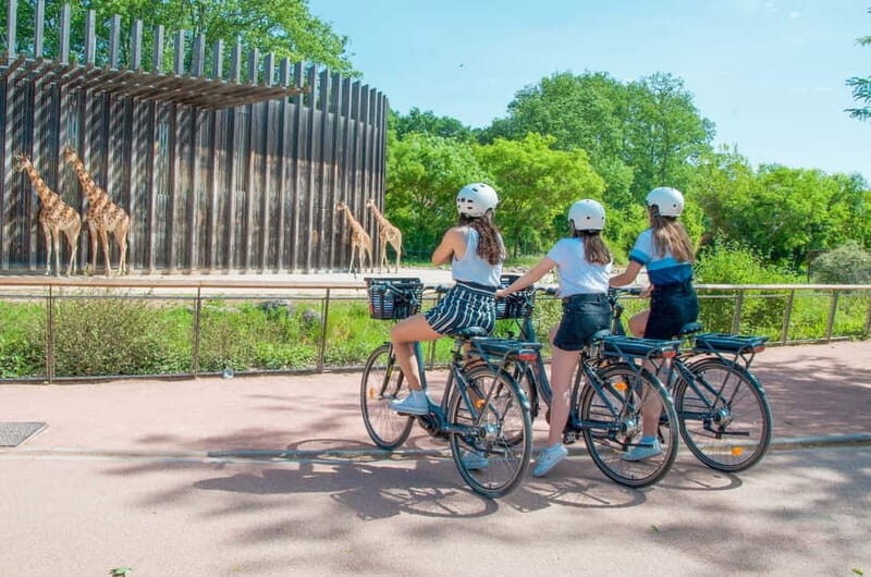 Explore Lyon and famous Tête d'Or Park by electric bike - What to Expect and Practical Details