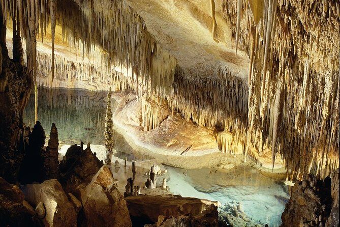 Explore Mallorca: Majorica Pearl Shop and Caves of Drach - What to Expect and Consider