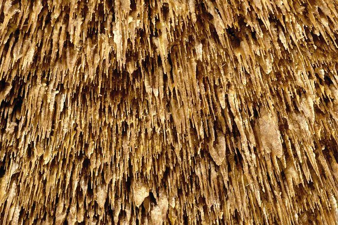 Explore Mallorca: Majorica Pearl Shop and Caves of Drach - The Sum Up