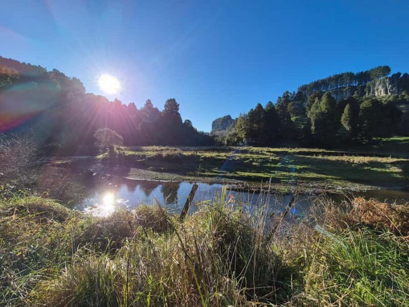 Explore Middle-Earth: Caves to Cinematic Landscapes - Authenticity and Value