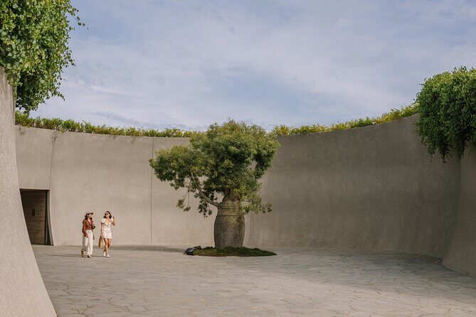 Explore Mornington Wildlife Wine and Hot Springs - Stop 5: Peninsula Hot Springs or Alba Thermal Springs