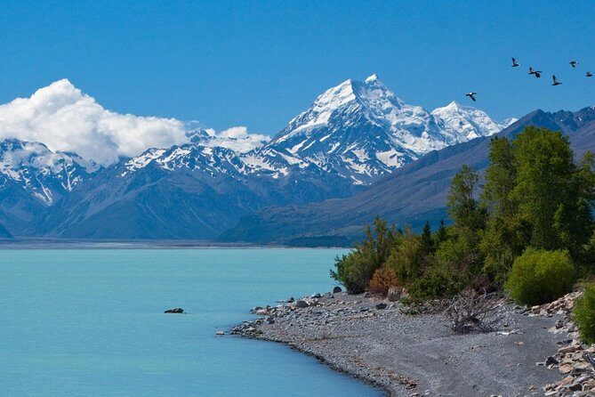 Explore Mount Cook from Christchurch - An In-Depth Review of the Mount Cook Day Trip