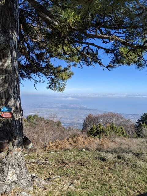 Explore Mount Olympus & Dion: History & Nature Day Trip - Exploring Mount Olympus & Dion: A Nature and History Day Trip in Greece