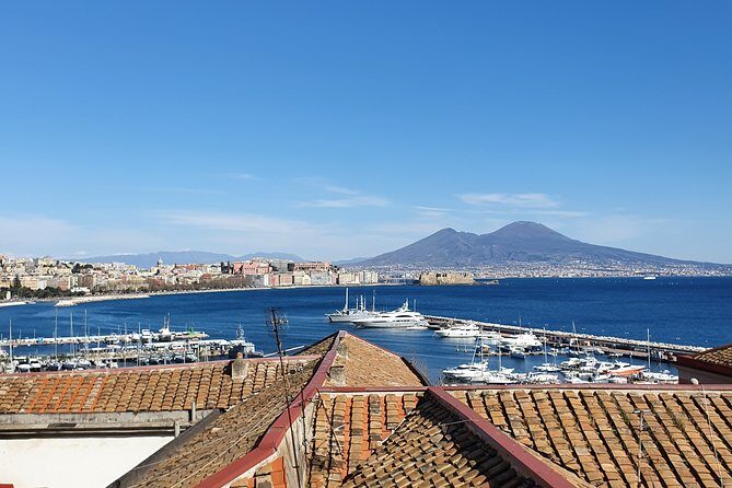 Explore Naples & Pompeii in One Day  Guided Half-Day Tour - What to Expect from This Naples & Pompeii Tour