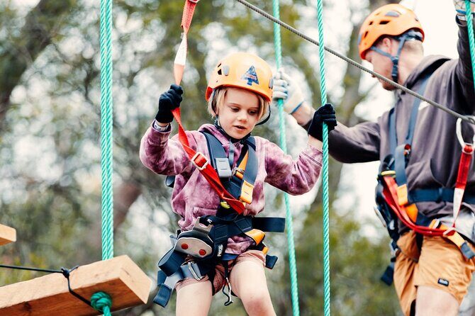 Explore Ourimbah State Forest Junior Tree Ropes Course - Who Is This Experience Best For?