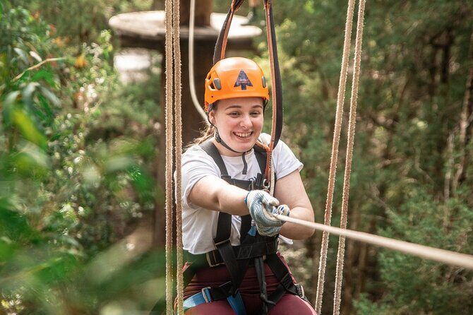 Explore Ourimbah State Forest Tree Ropes Course - An Outdoor Adventure in the Heart of NSW