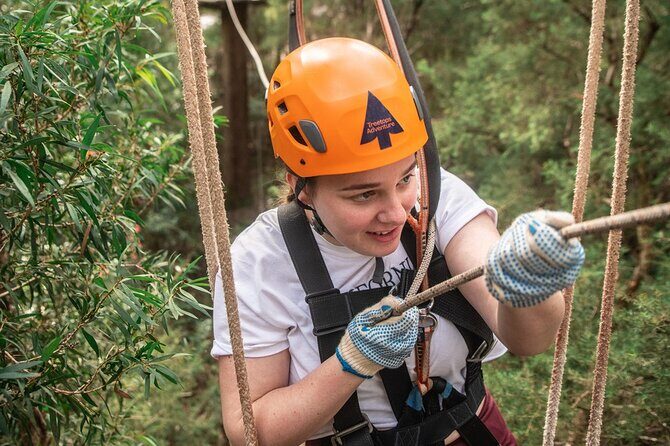 Explore Ourimbah State Forest Tree Ropes Course - Who Will Love This Experience?