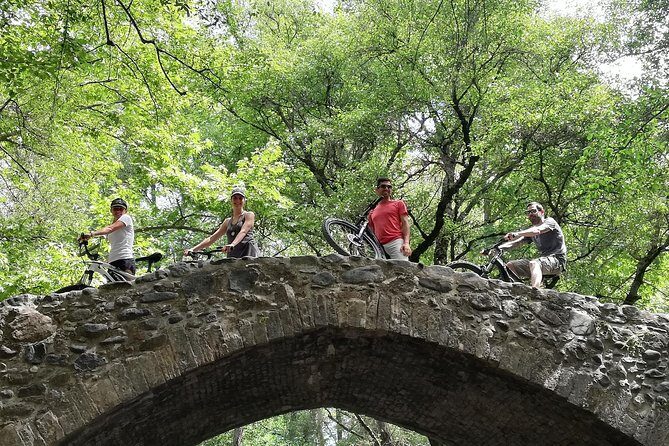 Explore Paphos forest with e-mountain bikes - Key Points