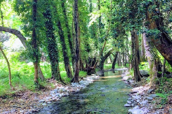 Explore Paphos forest with e-mountain bikes - Final Thoughts: Who Is This Tour Perfect For?