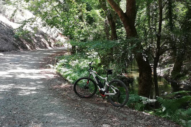 Explore Paphos forest with e-mountain bikes - Final Words