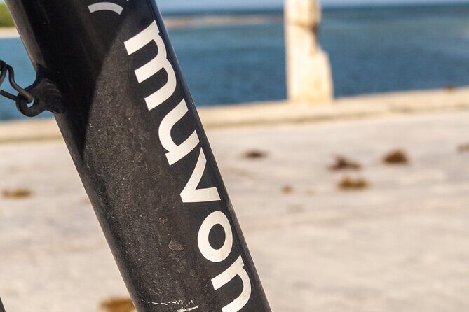 Explore Paradise on Wheels: Bike Rentals in Playa del Carmen - The Actual Ride: What to Expect