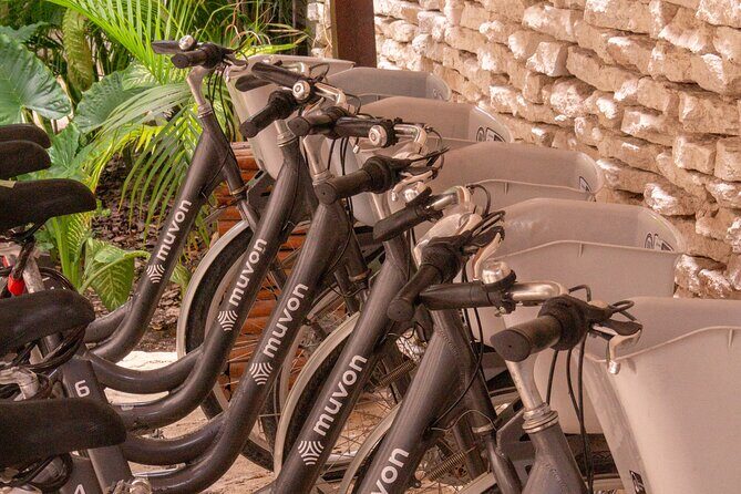Explore Paradise on Wheels: Bike Rentals in Playa del Carmen - Experience Reviews and Insights