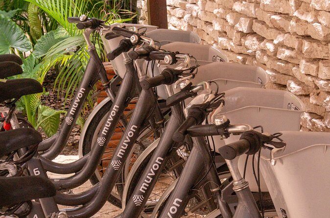 Explore Paradise on Wheels: Bike Rentals in Playa del Carmen - FAQ