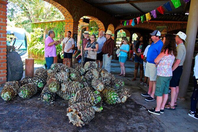 Explore Puerto Vallarta and Tequila Tasting - Why This Tour Is Worth Considering