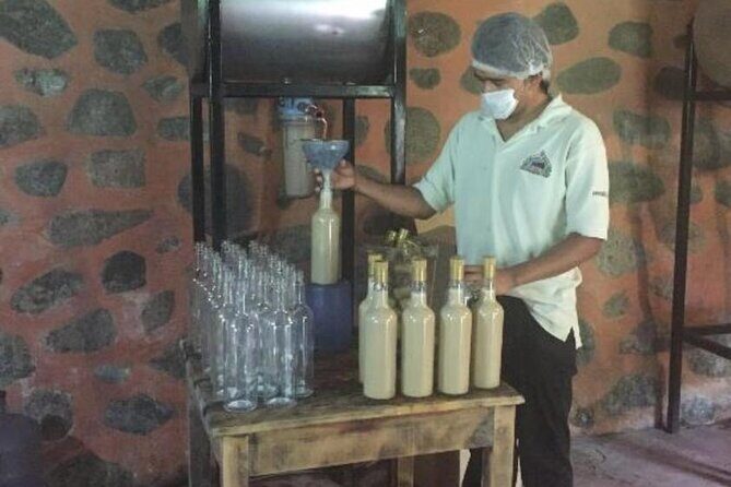 Explore Puerto Vallarta and Tequila Tasting - Final Thoughts: Who Will Love This Tour?