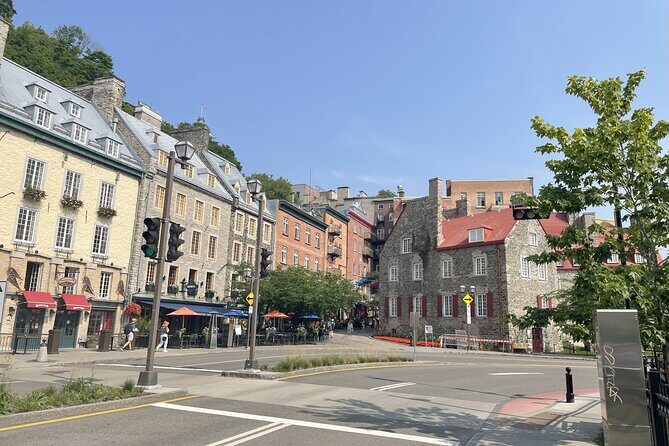 Explore Quebec City and the Falls with a local Chauffeur Guide - Who Should Consider This Tour?