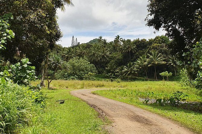 'Explore' Rarotonga Guided Bike Tour with Lunch and Swim - Practicalities and Tips for Participants