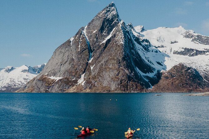 Explore Reinefjord by kayak (3 hours) - Exploring Reinefjord by Kayak (3 Hours): A Detailed Review