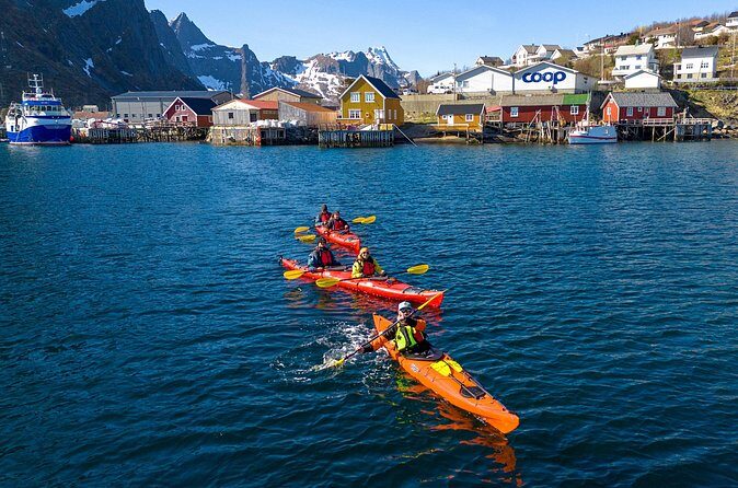 Explore Reinefjord by kayak (3 hours) - The Sum Up