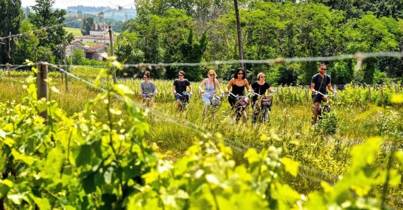 Explore Saint-Émilion on e-Bikes: Small Group, half-Day Tour - A Detailed Look at the Saint-Émilion E-Bike Tour