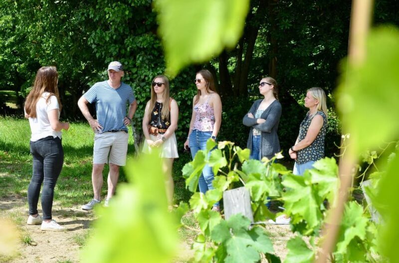 Explore Saint-Émilion on e-Bikes: Small Group, half-Day Tour - FAQs