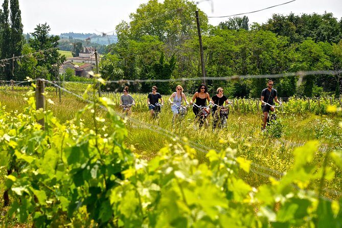 "Explore Saint-Émilion on e-Bikes: Small Group, half-Day Tour" - Who Will Love This Experience?