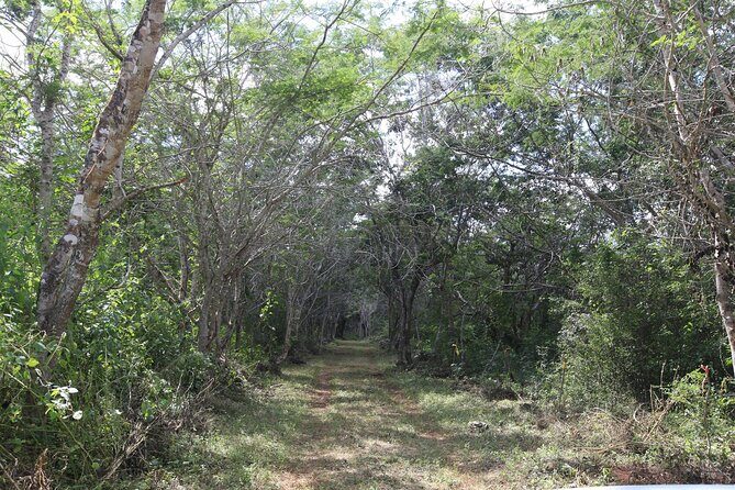 Explore Santa Bárbara Cenote Natural Wonders - The Experience: What Travelers Can Expect