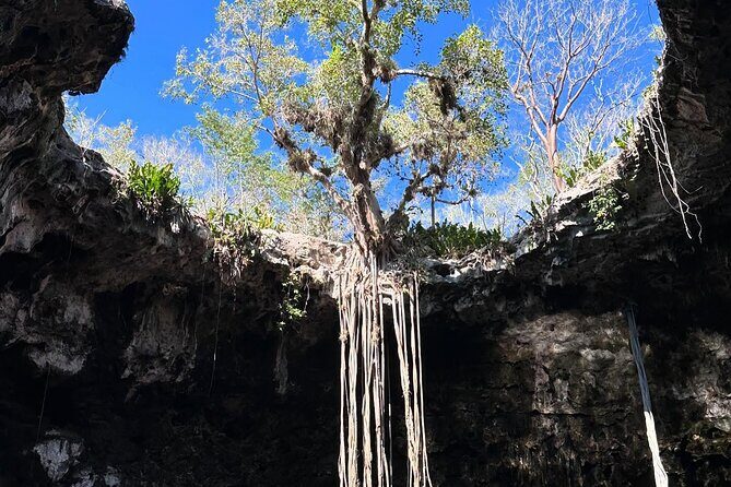 Explore Santa Bárbara Cenote Natural Wonders - Considering the Cost and Value