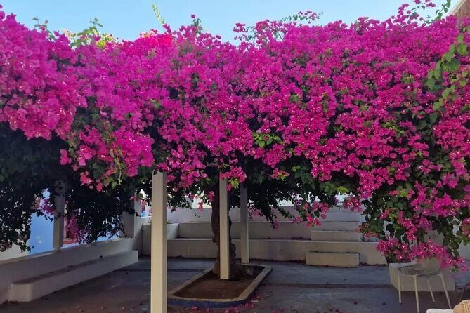 Explore Santorini in 3 hours With a Local Guide - Transportation and Price Value