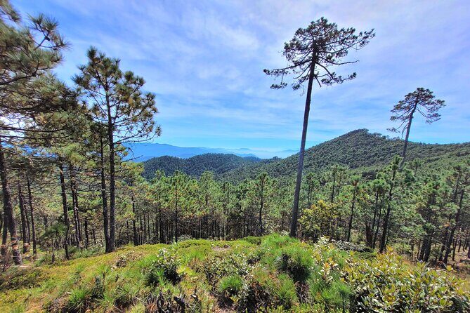 Explore Sierra Norte, Half-Day Hiking Adventure - Descending and Post-Hike Relaxation