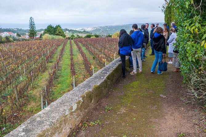 Explore Sintra with Luxury Transportation and Guiding - The Sum Up
