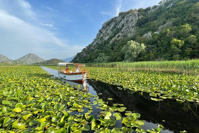Explore Skadar Lake in Private 2 hour Boat Cruise - The Sum Up: The Real Value of a Skadar Lake Boat Cruise