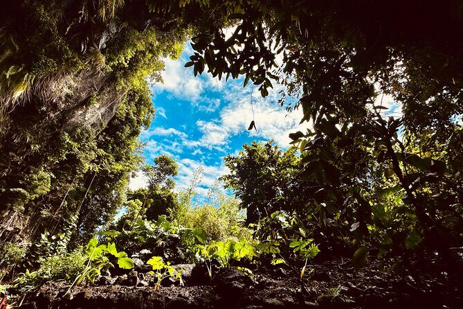 Explore Tahiti Nui, its landscapes and iconic sites. - Who Will Love This Tour?